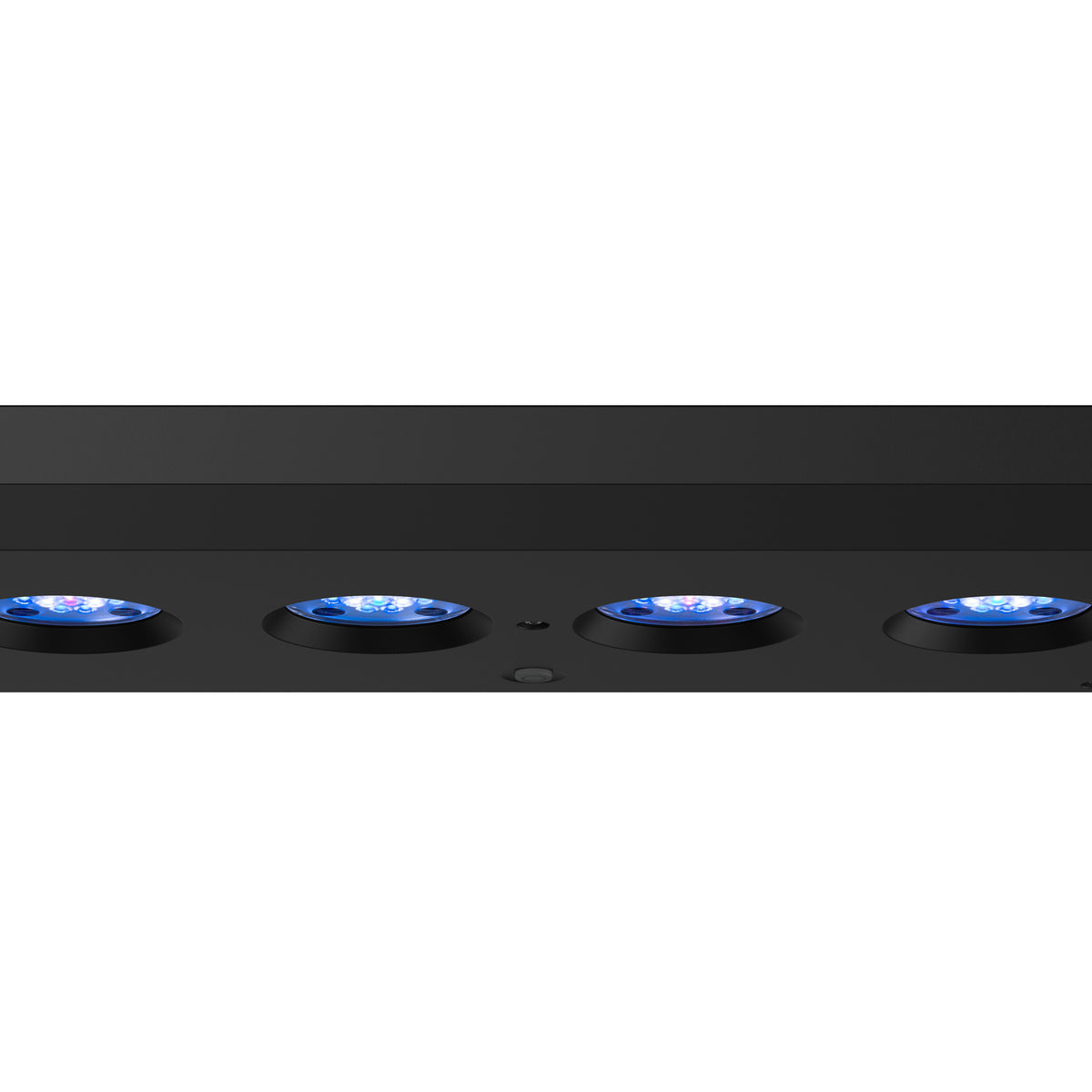 AI Hydra 64HD – Reef-freaks
